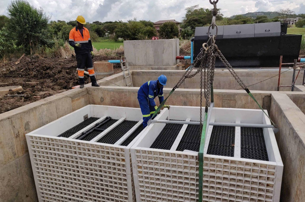 BIOKUBE - MAGNI MARK